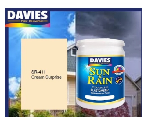 DAVIES PAINT / SR 411 CREAM SURPRISE 1LITER | Lazada PH