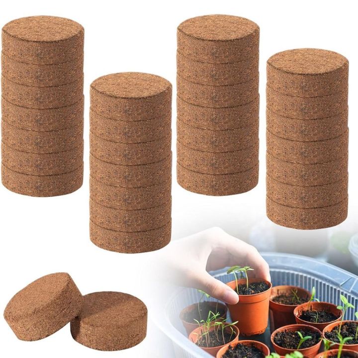 SHIPWRECK Coco Coir Fiber Potting Soil Indoor Plants Environment ...