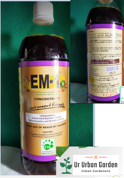 EM1 Concentrate - 1 liter Bottle | Lazada PH