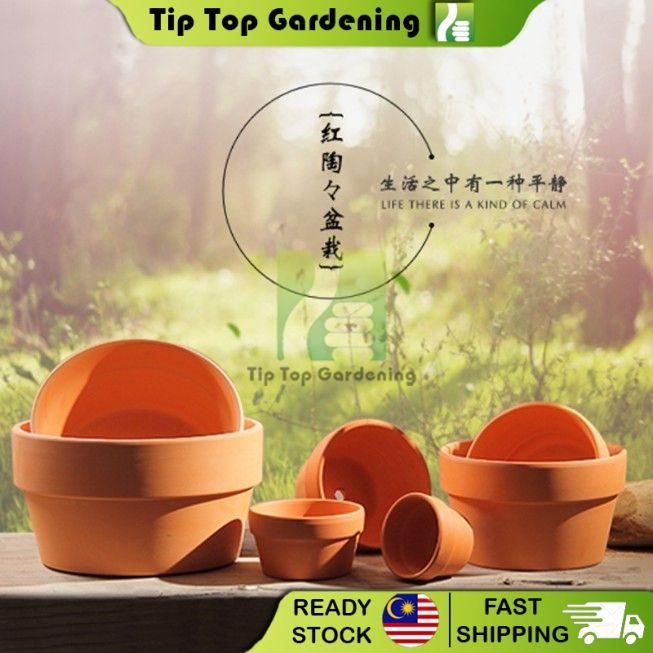 RED POTTERY SHALLOW CLAY POT SUCCULENT FLOWER POT MULTI SIZE OPTION ...