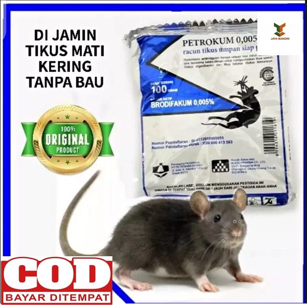 Racun Tikus Rodentisida Petrokum Asli Obat Alat Pembasmi Tikus Ampuh ...