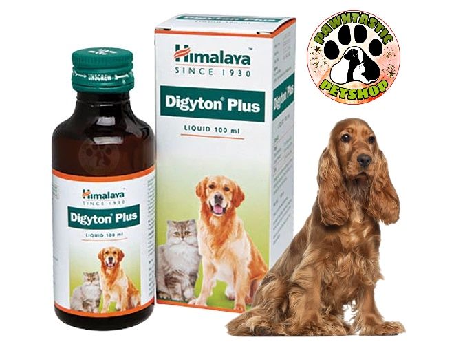 Himalaya Digyton Plus 100mL | Lazada PH