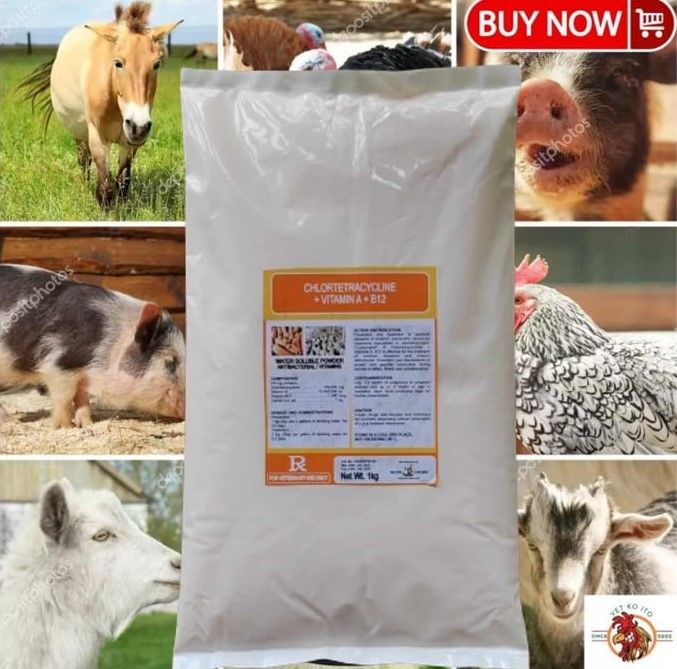CTC 10%/ Water Soluble Powder/ 1Kg - Vet ko Ito | Lazada PH
