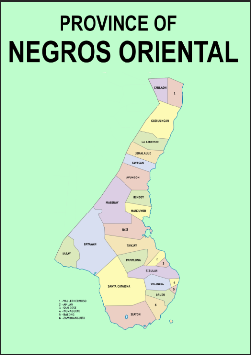 Negros Oriental Province Map Waterproof A4 Laminated Chart | Lazada PH