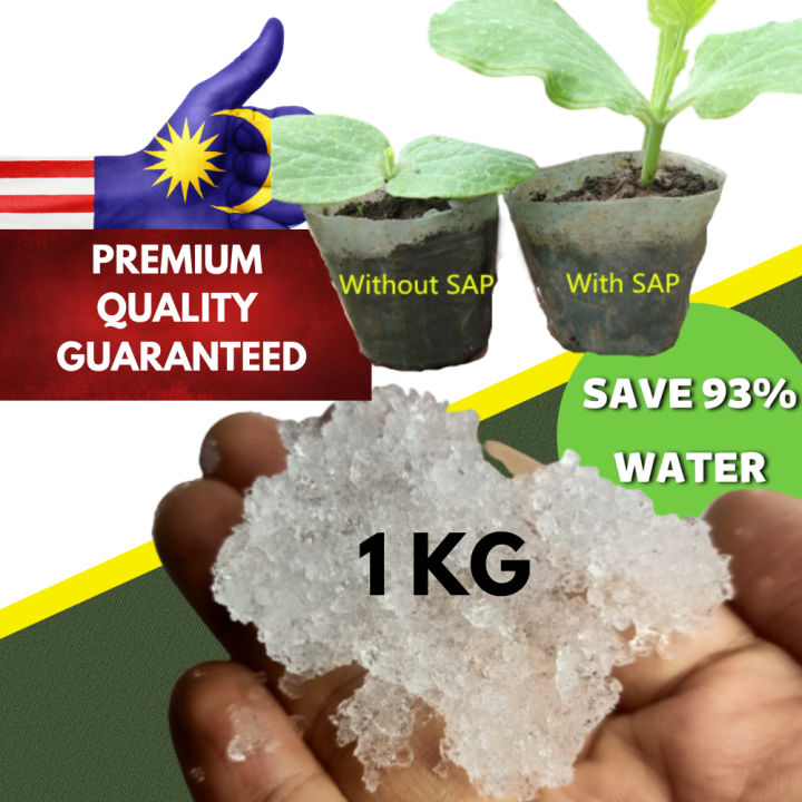 (1kg) Plant Water Retention Gel | Gel Penyimpanan Air | Plant Growing ...