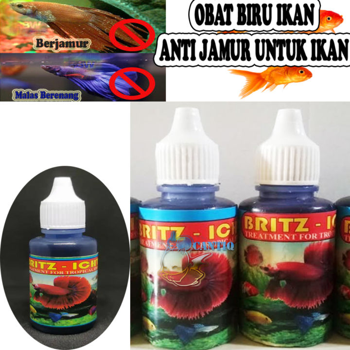 QCF Obat Biru Super Metil Biru Obat Jamur Protozoa Obat Ikan White Spot ...