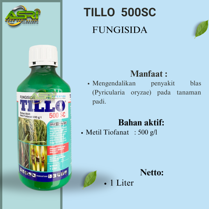 TILLO 500SC 1Liter FUNGISIDA Pengendali Blas Pada Tanaman padi | Lazada ...