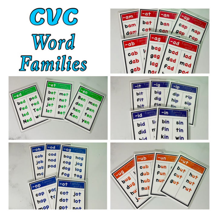 COD EC LEARNING CVC Word Families Laminated FLASH CARDS | Lazada PH