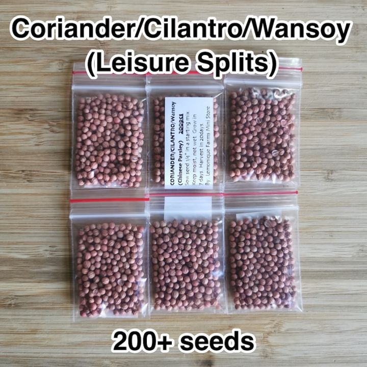 Coriander / Cilantro / Wansoy / chinese parsley seeds | Lazada PH