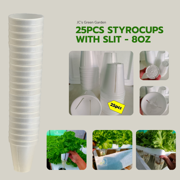 (25pcs - 1,000pcs) 8oz STYROCUPS (WITH NECK AND SLIT) READY TO USE FOR ...