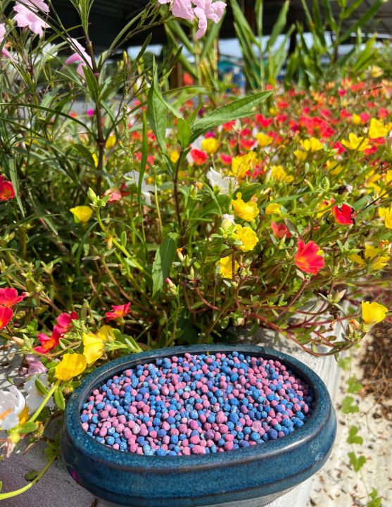 1KG Baja Super Mix / Baja Mix Subur / Bunga / Buah Paksa Gemuk | Lazada