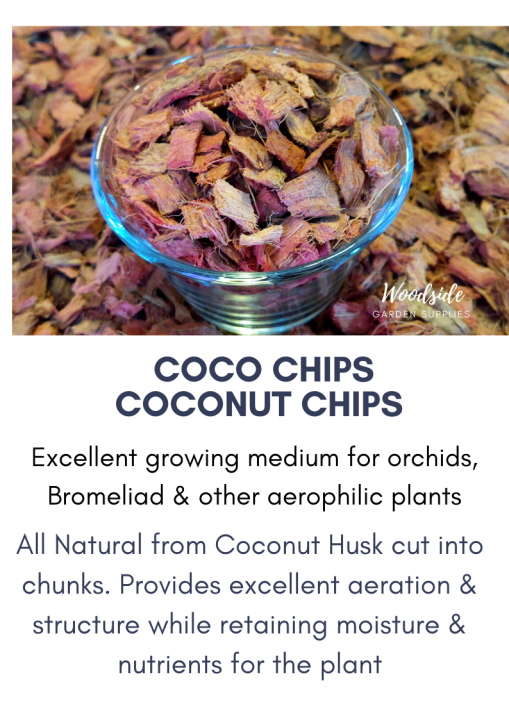 Coco Chips/Coco chip/Cocochips/Coconut chip Lightweight and airy ...
