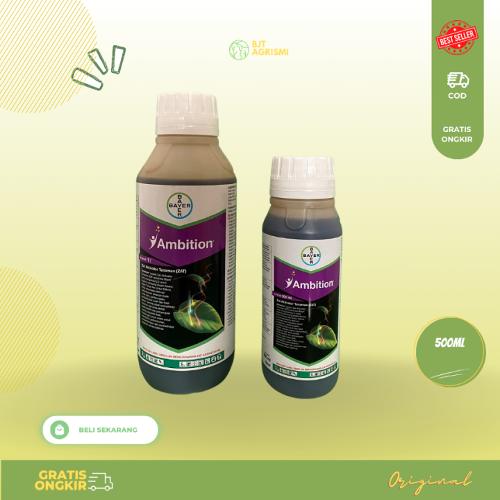 Ambition 500 ML 1 iter Asam Amino Zat Aktivator Tanaman ZPT | Lazada ...