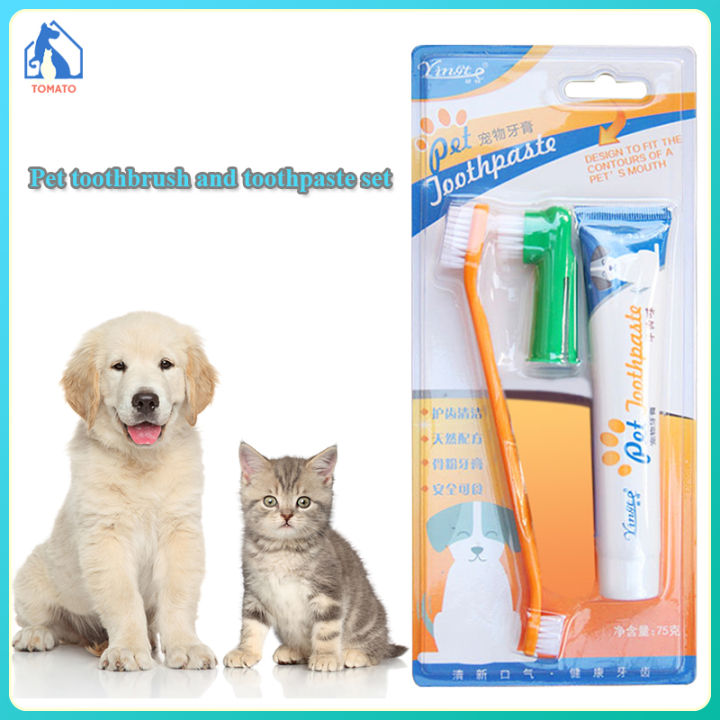 4 In 1 Set Pet supplies Cat Dog toothbrush Toothpaste Set mouth ...