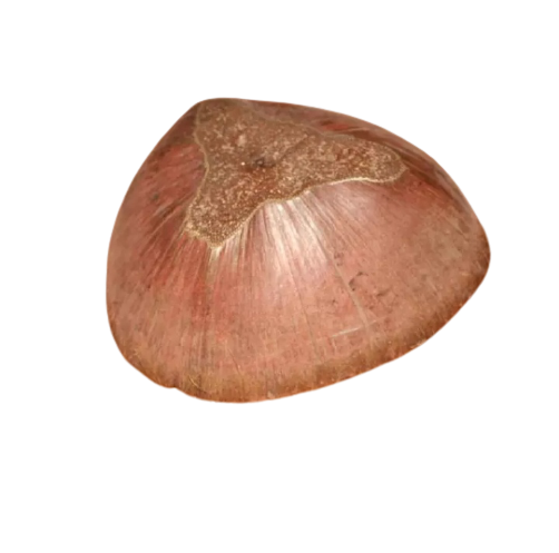 Filipino-Style Coconut Husk/ Manual Floor Polisher / Bunot | Lazada PH