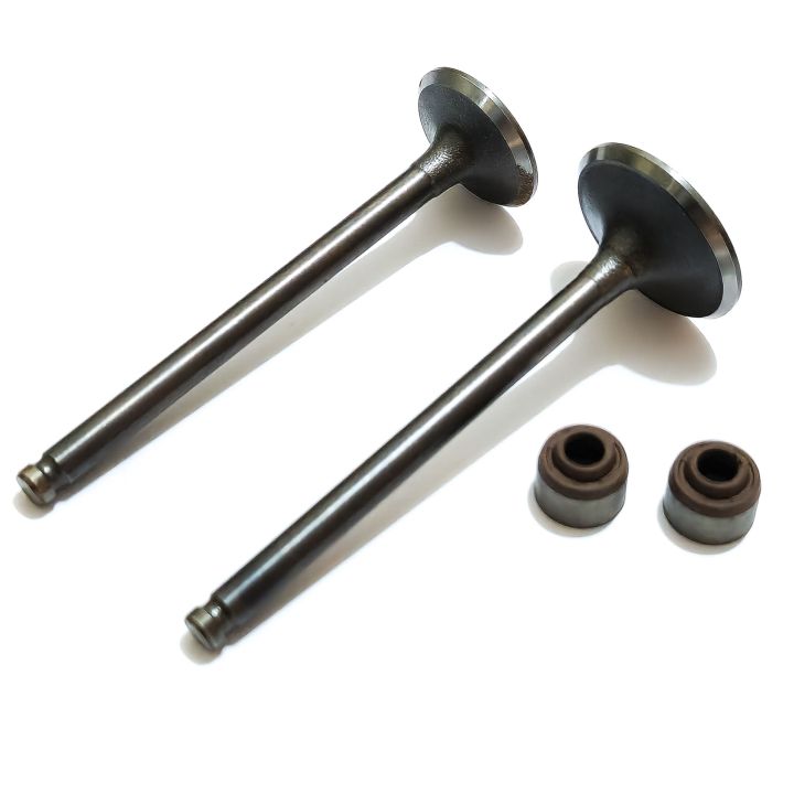 Yamaha Motorcycle Engine Valve Set for Mio i 125 & Soul i 125/115 ...