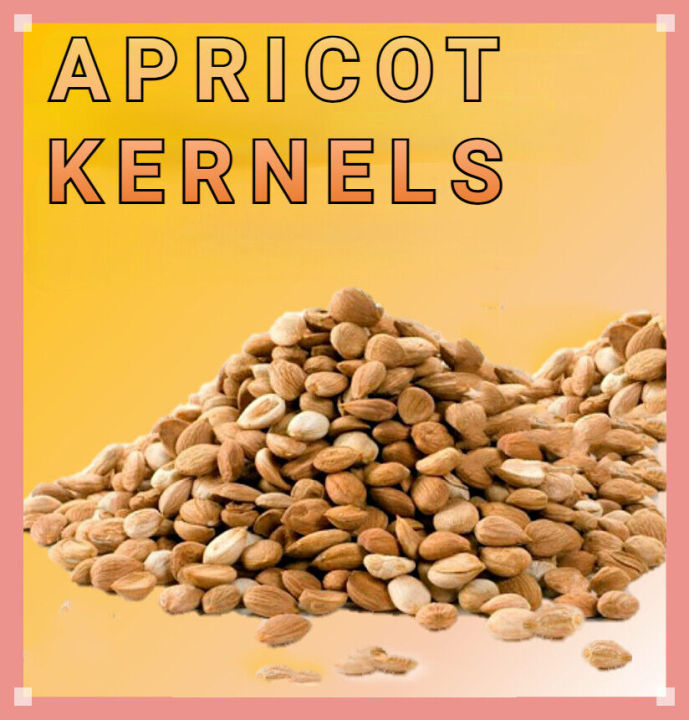 Certified Organic Apricot Kernels Raw - Premium Grade 250g | Lazada PH