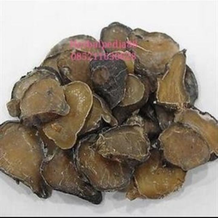Zhi Fu Zi 制附子50 gram | Lazada Indonesia