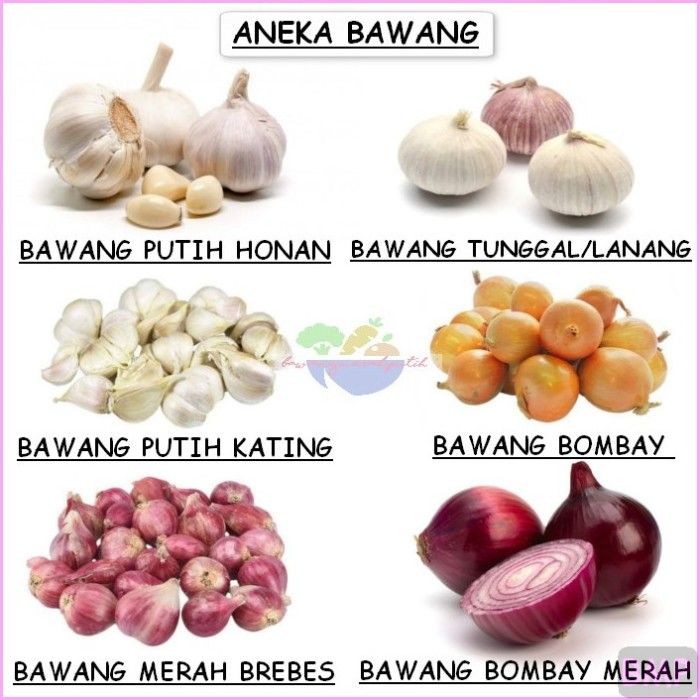 Bawang Putih Kating Cutting Honan Fresh 1/4 Kilogram 250G | Lazada ...