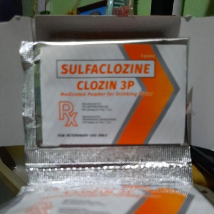 ESB3 SULFACLOZINE 4G | Lazada PH