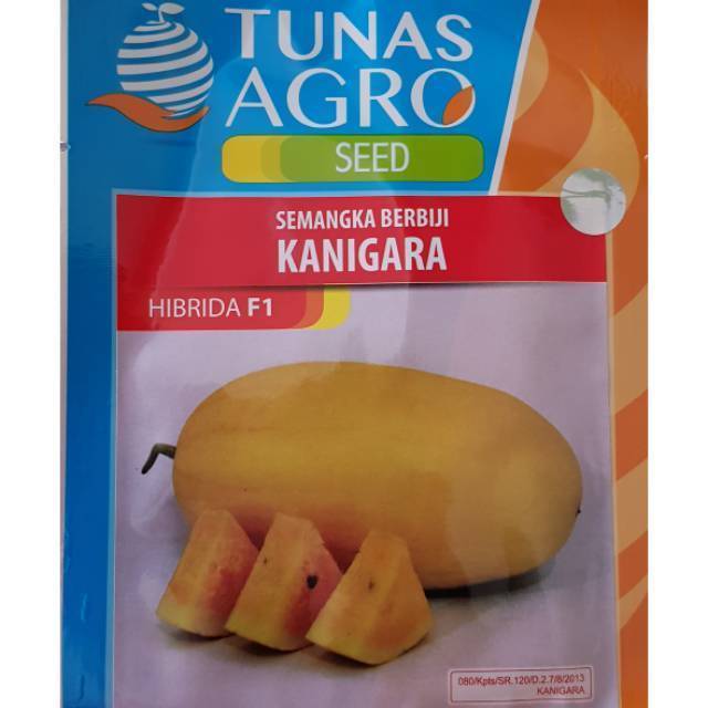 BENIH SEMANGKA KANIGARA KULIT DAN DAGING BUAH WARNA KUNING KANIGARA ...