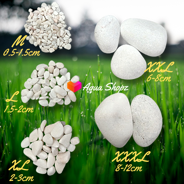 White Stone / Batu Putih River Pebble Gardening Landscape Aquarium ...