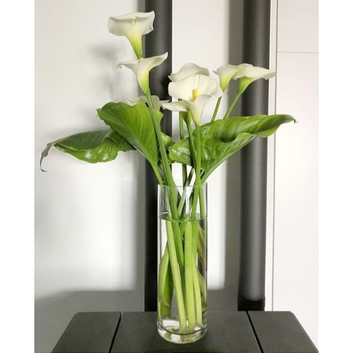 Vas Bunga Kaca Bening Tinggi / Vas Bamboo Tabung / Vase Cylinder ...