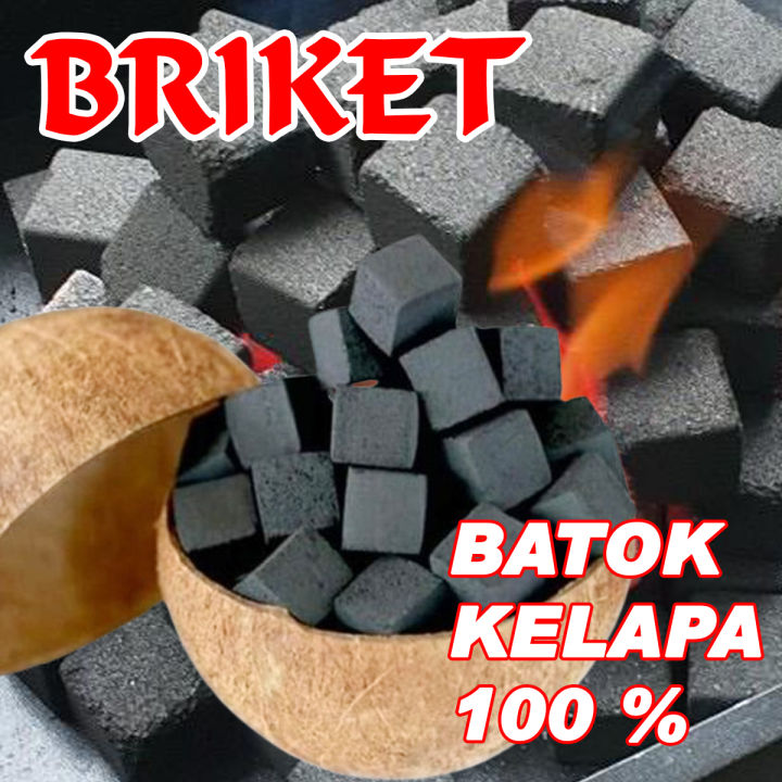 Briket Batok Kelapa Grade A Kotak Arang Barbekyu cube BBQ 5 kg | Lazada ...