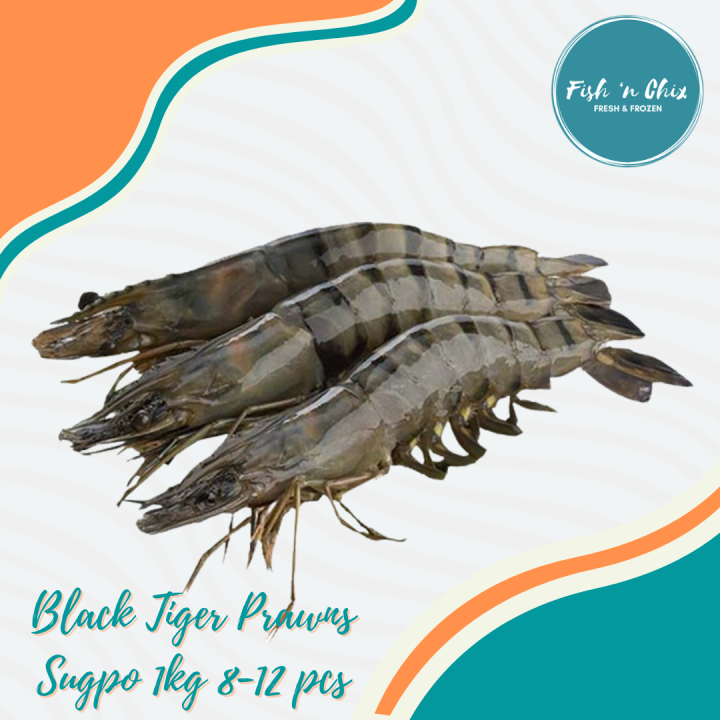 Black Tiger Prawns / Sugpo 1k(7-12 pcs) | Lazada PH
