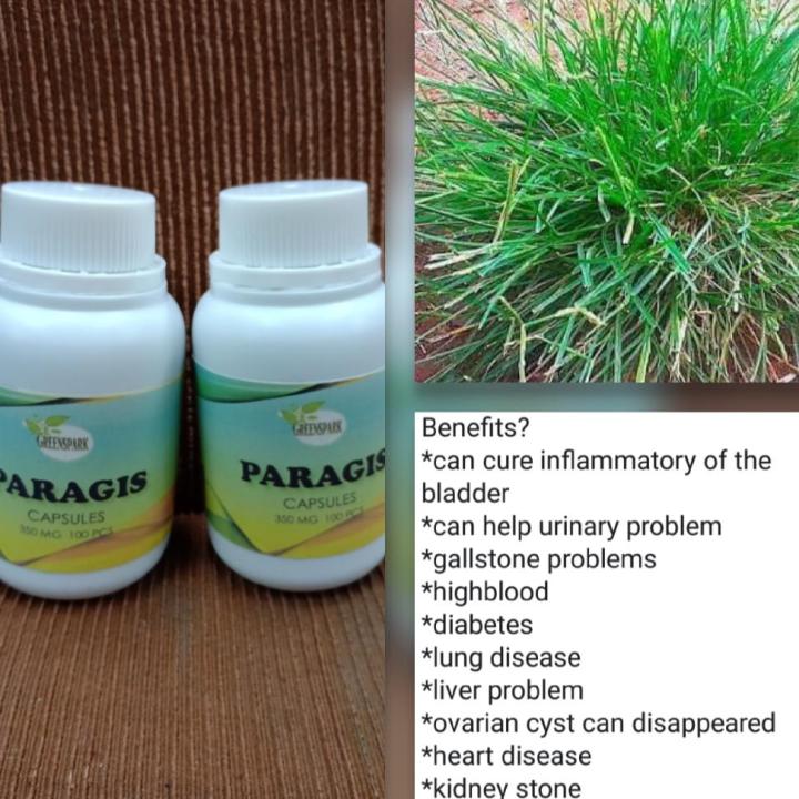 Greenspark Paragis Capsule 100s Set of 2 | Lazada PH