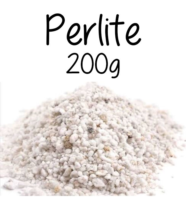 Perlite for gardening potting mix aeration 200g | Lazada PH