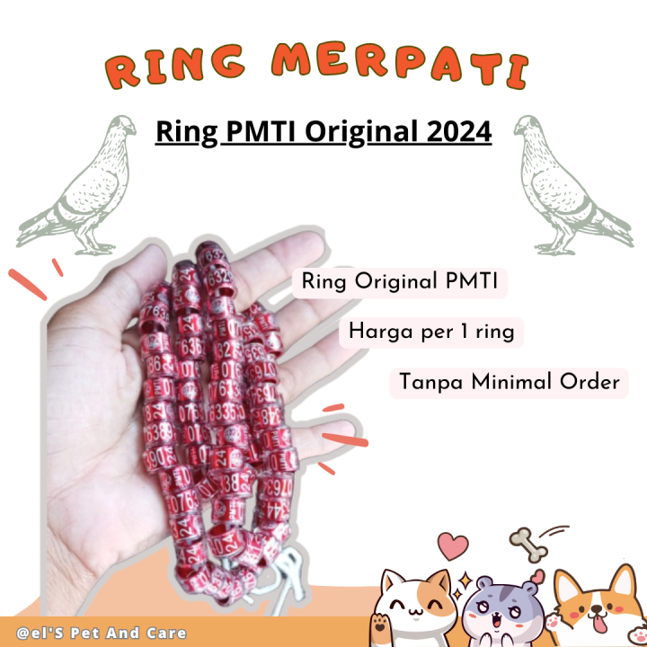 Ring Merpati PMTI Ring Merpati Balap Kolong Resmi Original 2024 ...