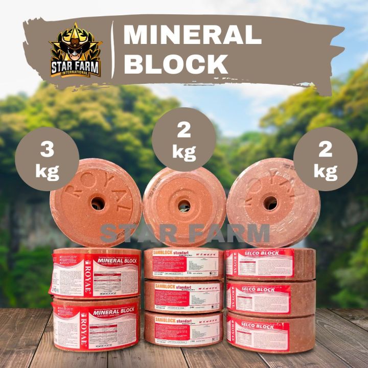 Mineral Block - Mineral Untuk Hewan Ternak | Lazada Indonesia