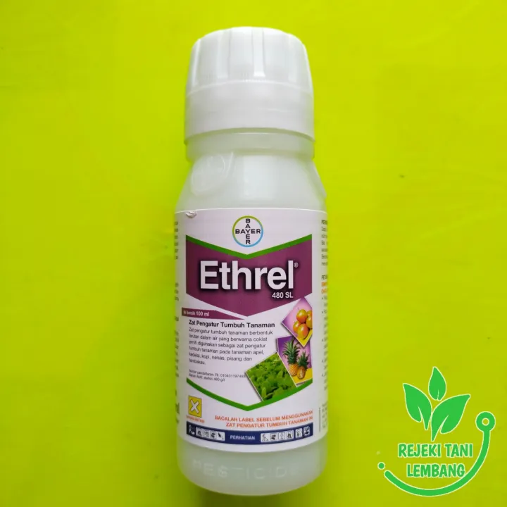 ETHREL 480 SL ZAT PENGATUR TUMBUH TANAMAN 100 ML | Lazada Indonesia