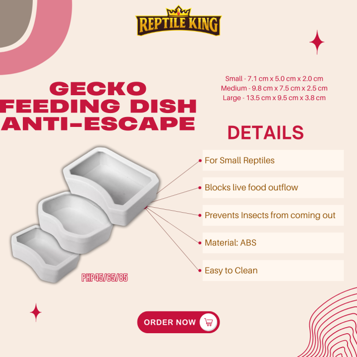 Gecko Feeding Dish good for Tarantula Centipede Scorpion Snake Frog ...