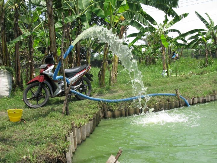 Pompa air Tenaga Motor Fuboru | Lazada Indonesia