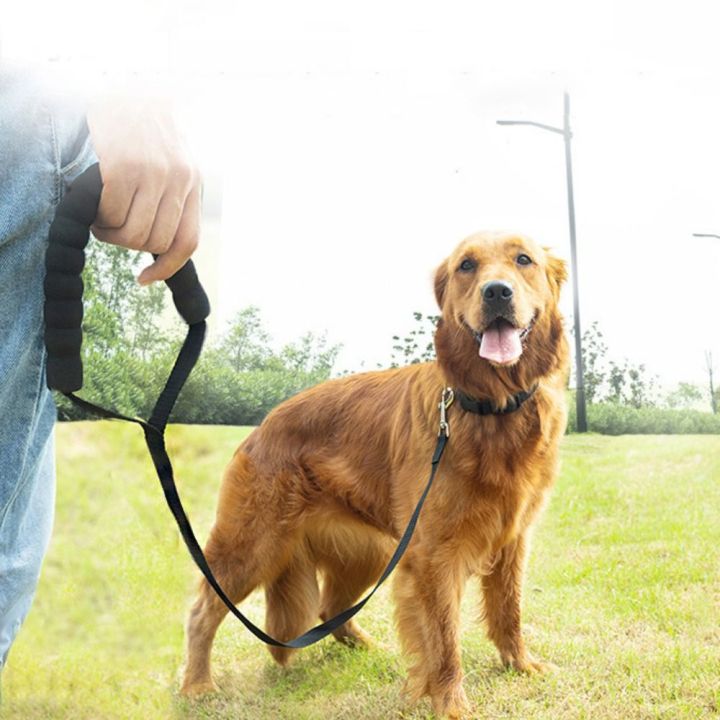 CUTE ELVES Soft Pet Traction Rope Red/Blue/Black Foam Handle Walking ...