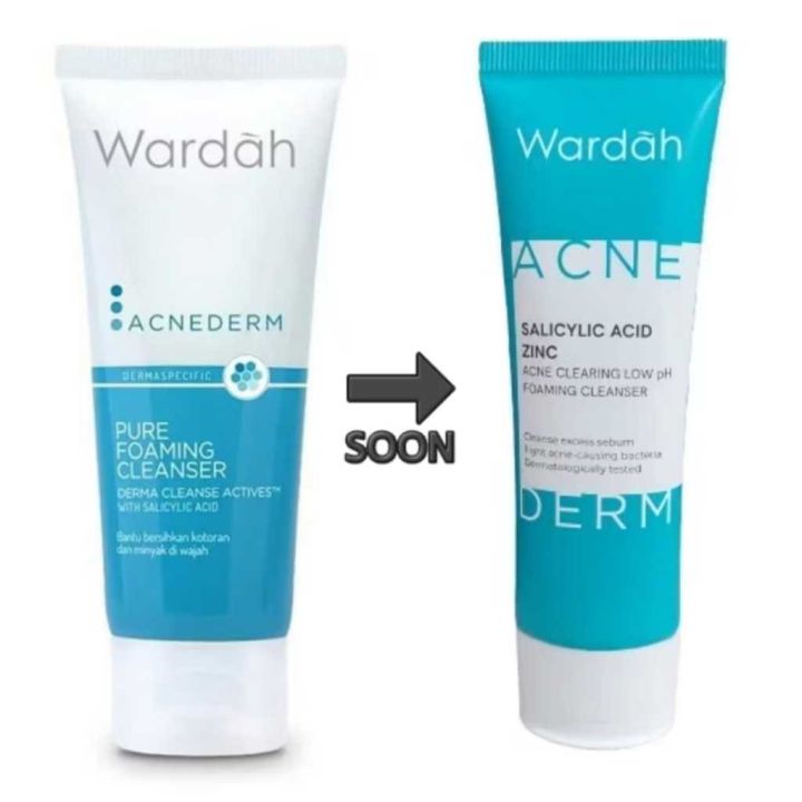 WARDAH Acnederm Salicylid Acid Zinc Foaming Cleanser 60ml / Sabun Muka ...