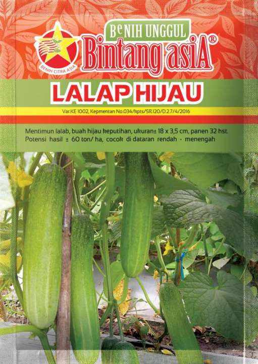 Benih Mentimun Timun LALAP HIJAU 50 Gram Cap Bintang Asia PT Benih ...