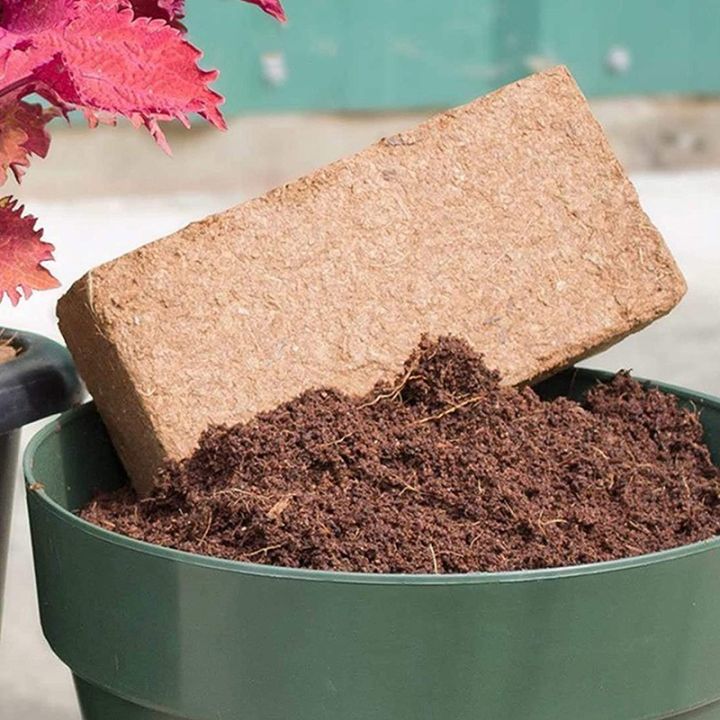 Butterfly.phc 1/3/6 Pcs of 550g Full Natural Coconut Fiber Coco Coir ...
