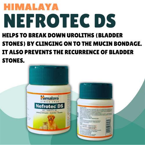 [G&G AGRIVET] NEFROTEC DS /60 VET TABLETS / URINARY ANTISEPTIC ...