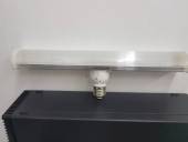 LED Bulbs