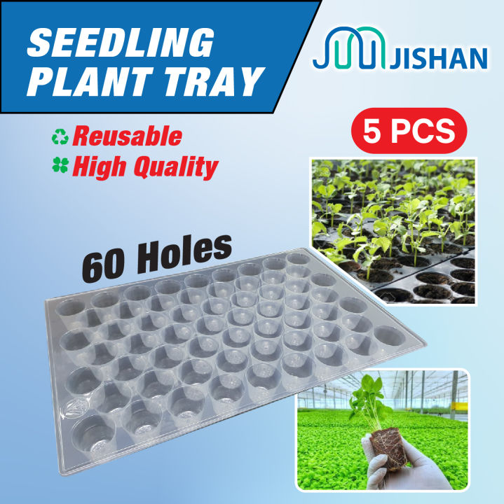 [60 Holes] Seedling Plant Tray / Bekas Semaian Plastik / Garden Plant ...