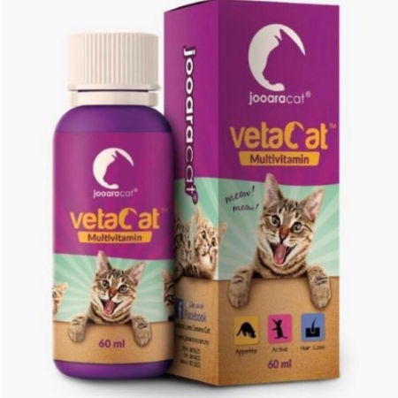 VetaCat Multivitamin Syrup for Cat & Kitten (60ML) | Lazada