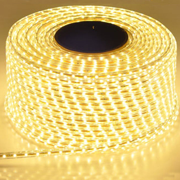 Seville 220V Waterproof Led Strip Light With EU Plug SMD 5050 Flexible ...