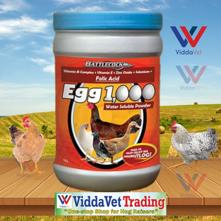 1 kg Egg 1000 powder egg 1000 powder 1 kg egg 1000 powder sachet egg ...