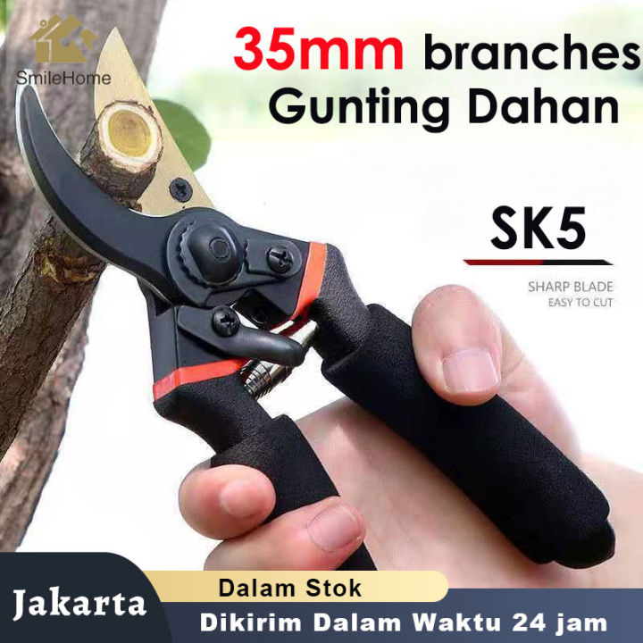 Gunting Dahan / Ranting Bunga Tanaman / PVC - Gunting Kebun & Taman ...