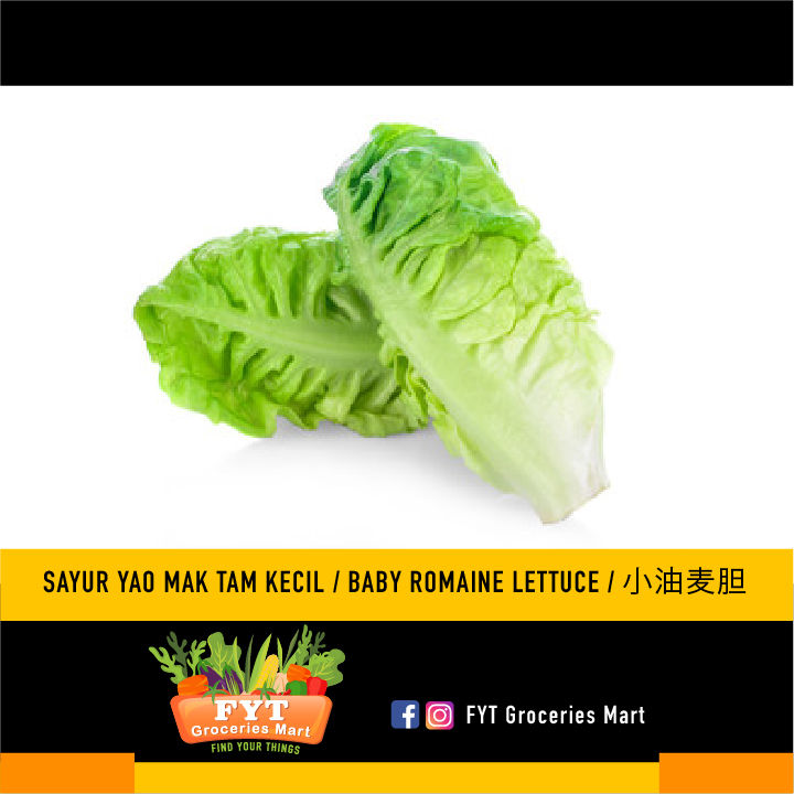 FYT GROCERIES - VEGETABLES - BABY ROMAINE LETTUCE / 油麦胆 / Yao Mak Tam ...