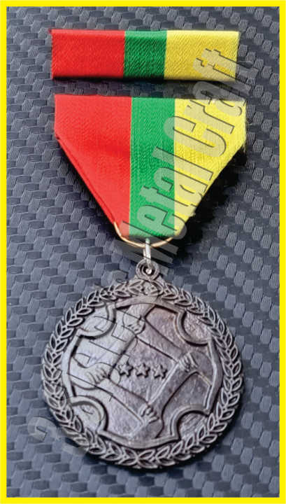 MEDALYA NG PAGTULONG SA NASALANTA (PNP Disaster Relief and ...