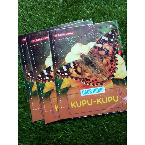 Daur Hidup Kupu Kupu | Lazada Indonesia